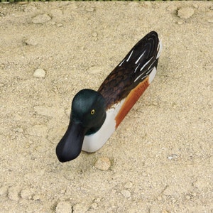 Shoveler, a Wooden Bird, a Sculpture of a Duck. - Etsy