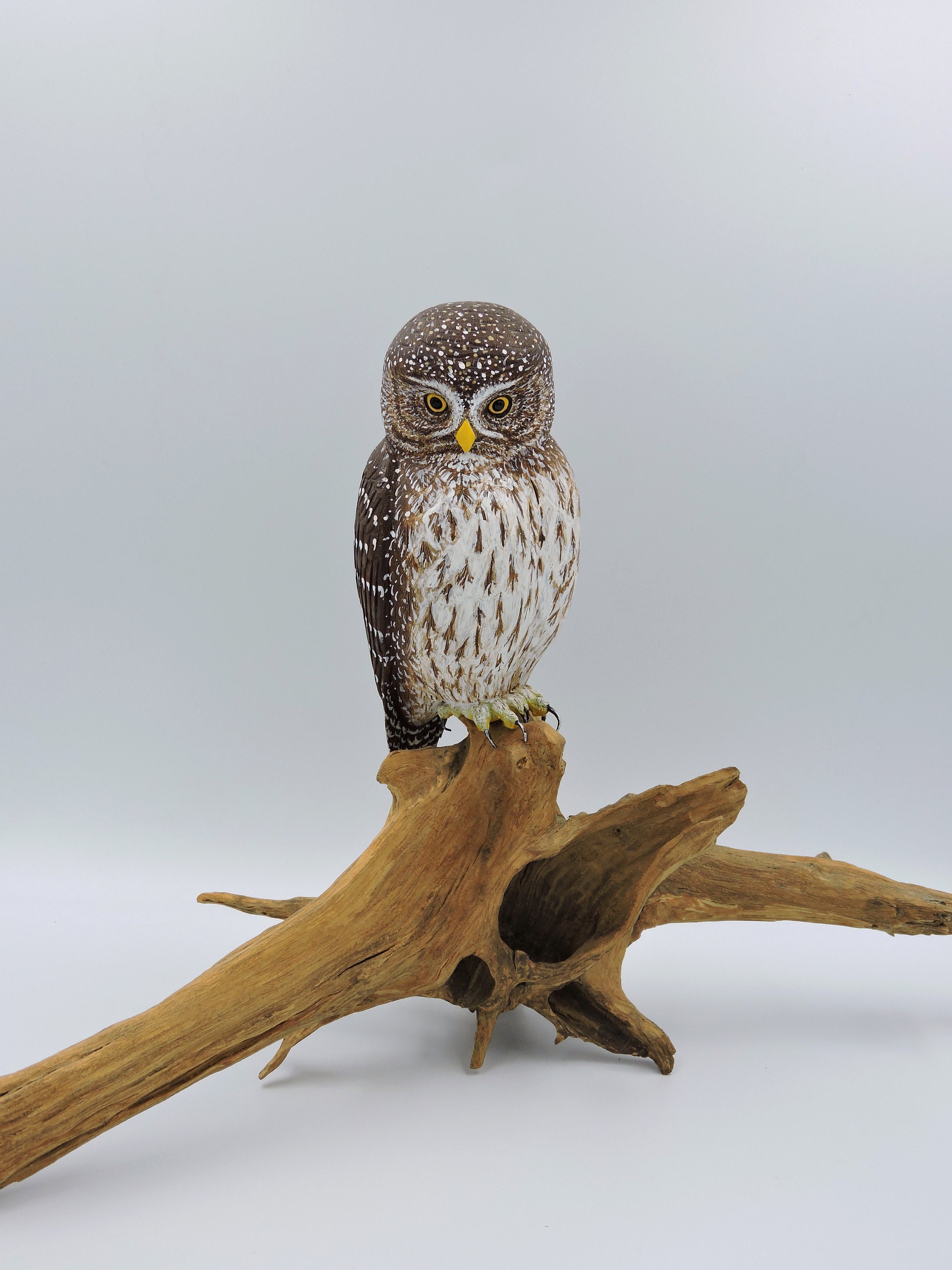 Pygmy Owl on the Root, a Wooden Sculpture of an Owl, Sperlingskauz ...