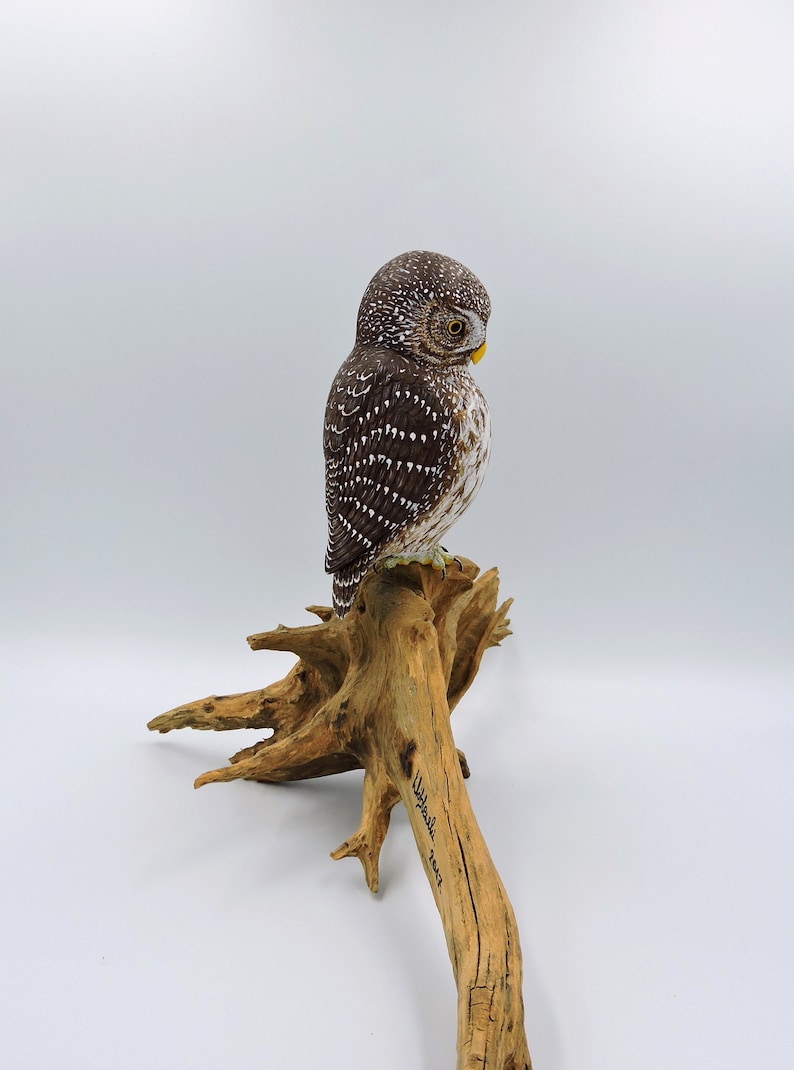 Pygmy Owl on the Root, a Wooden Sculpture of an Owl, Glaucidium ...
