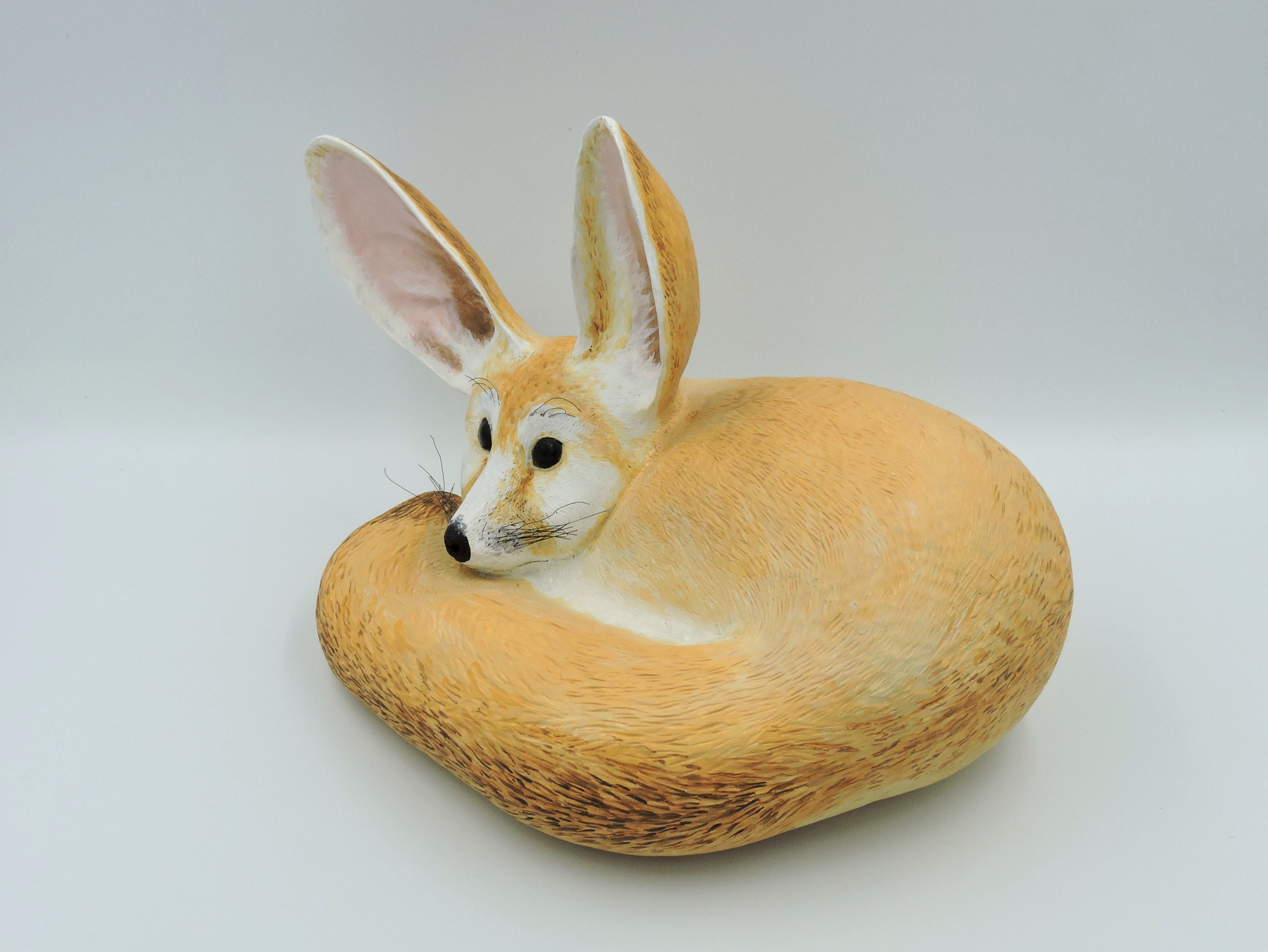 Fennec Hare