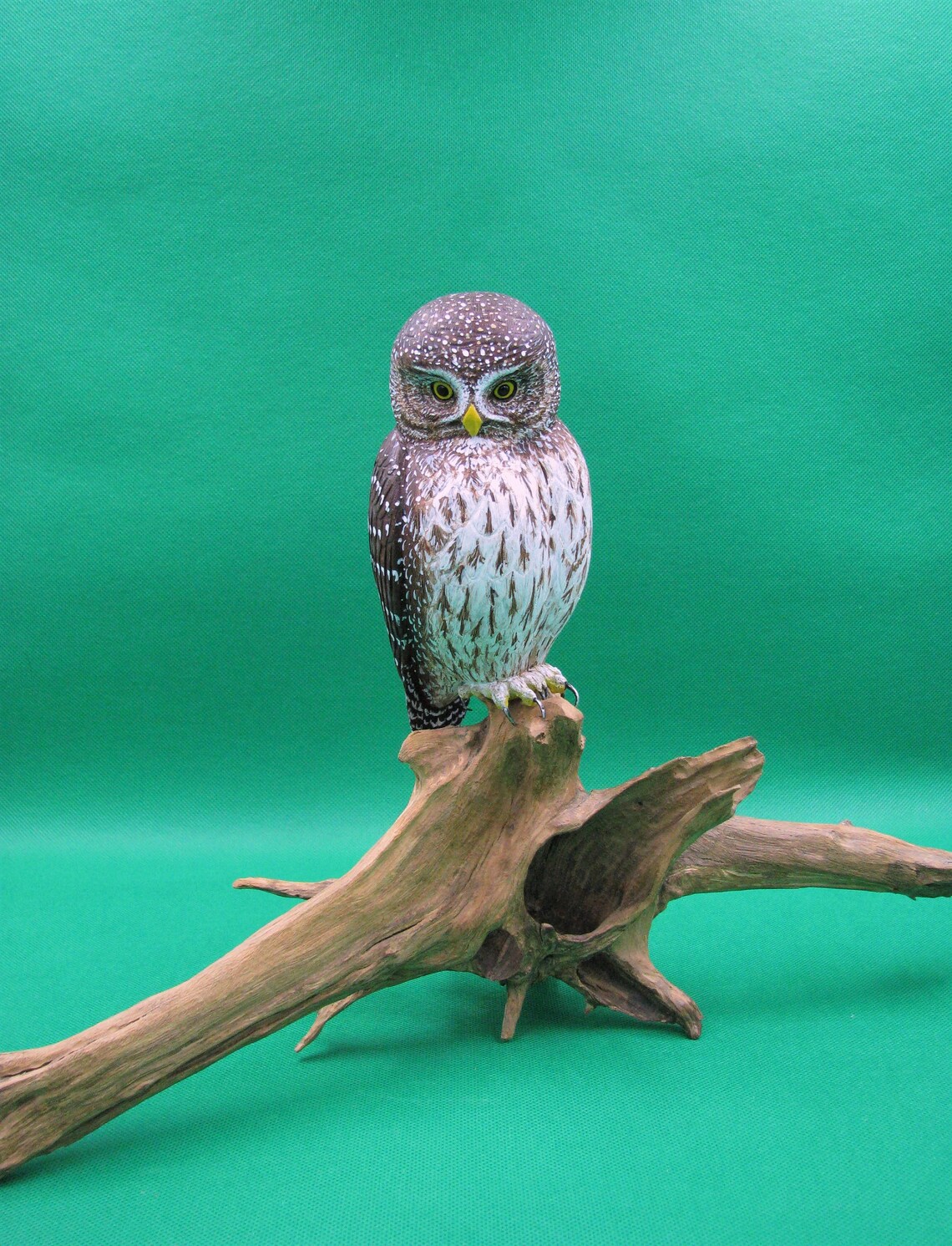 Pygmy Owl on the Root a Wooden Sculpture Sperlingskauz | Etsy