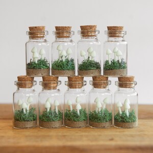 Tiny Glow in the Dark Mushroom Jar, Mini Mushroom Fairy Garden ...