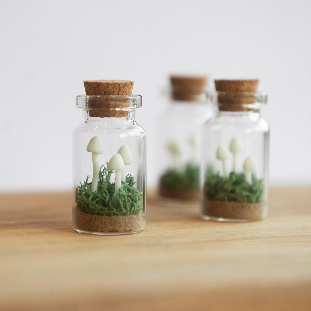 Tiny Glow in the Dark Mushroom Jar, Mini Mushroom Fairy Garden ...