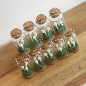 Tiny Glow in the Dark Mushroom Jar, Mini Mushroom Fairy Garden ...