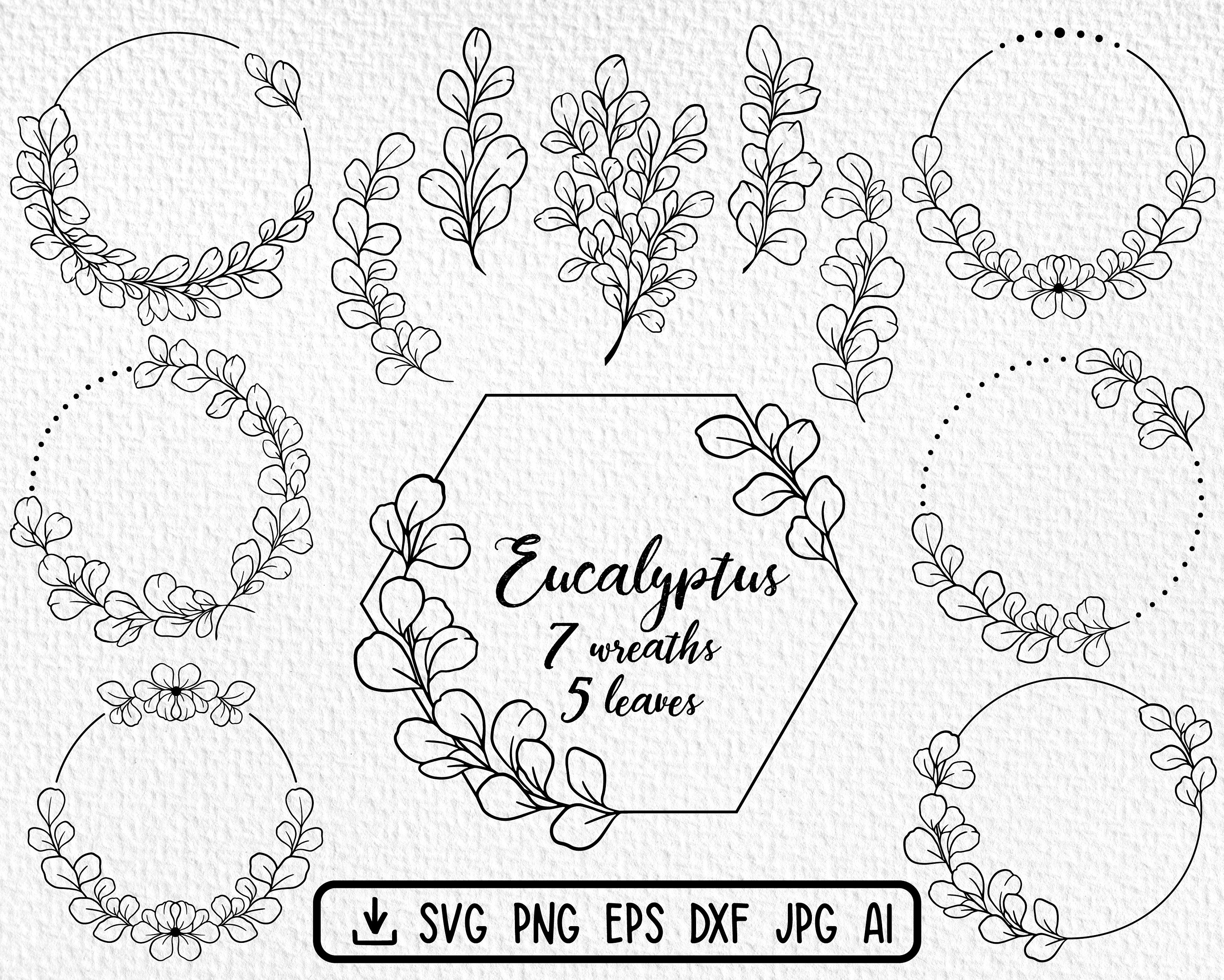 Eucalyptus Bundle Svg Png Dxf Cut File Eucalyptus Circle - Etsy Australia