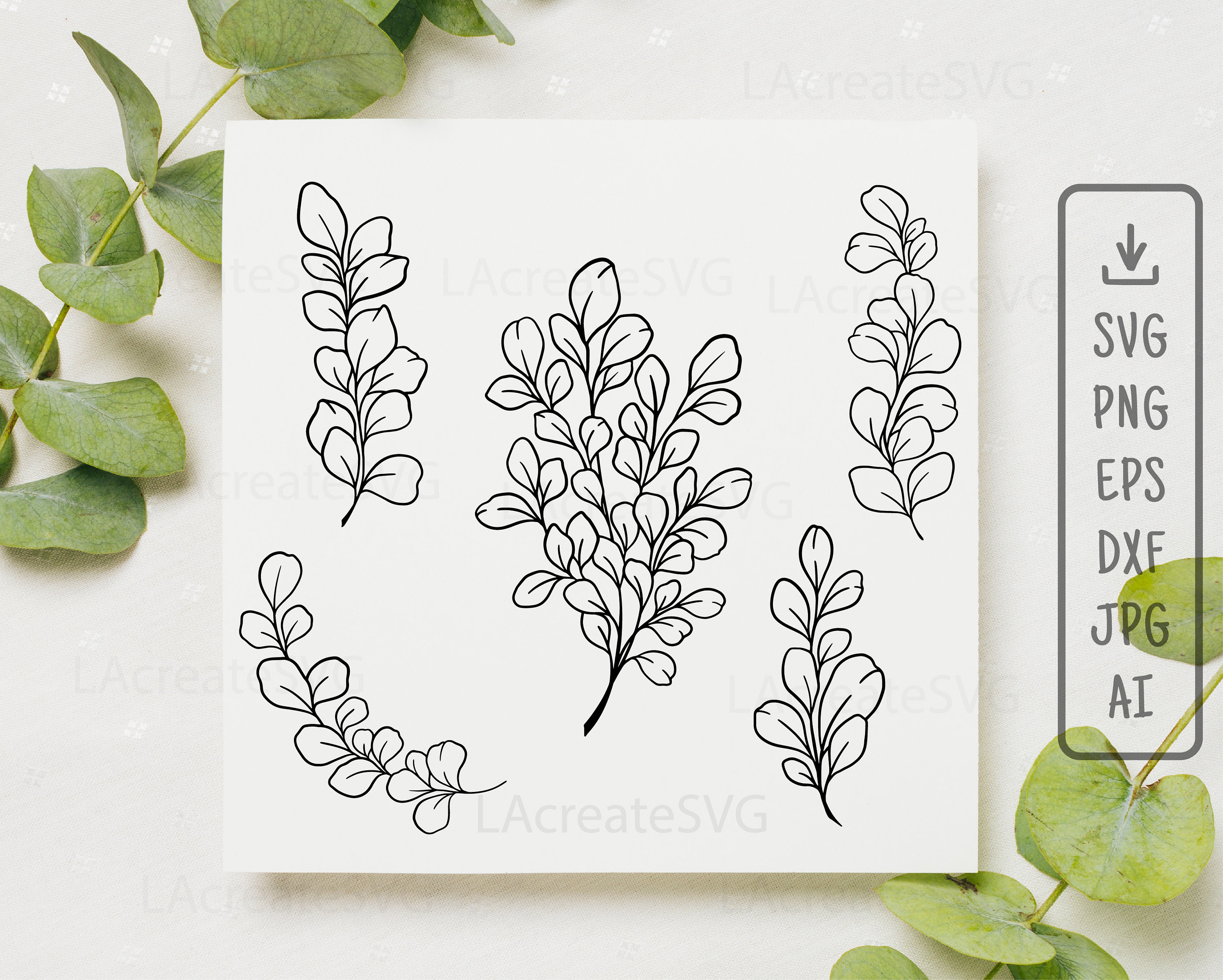 Eucalyptus Bundle Svg Png Dxf Cut File Eucalyptus Circle - Etsy Australia