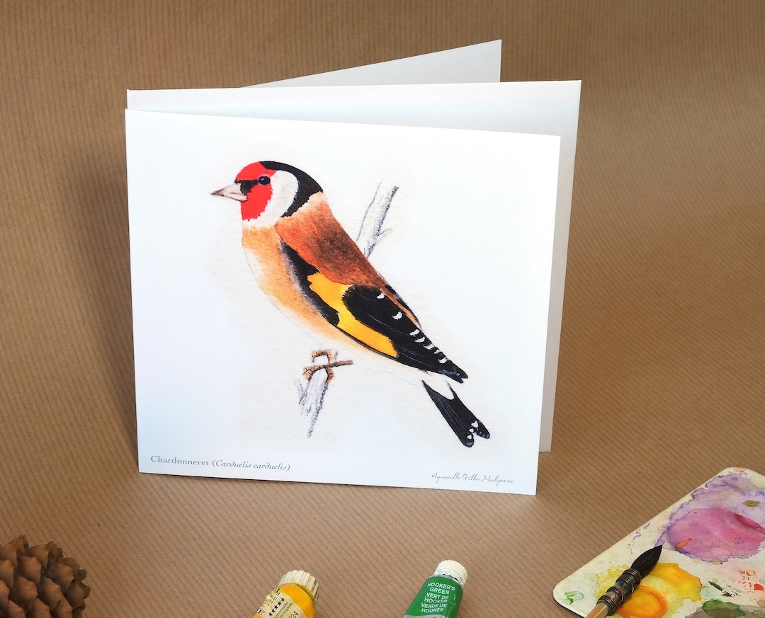 Double Illustrated Goldfinch Bird Postcard, With Its Envelope - Etsy