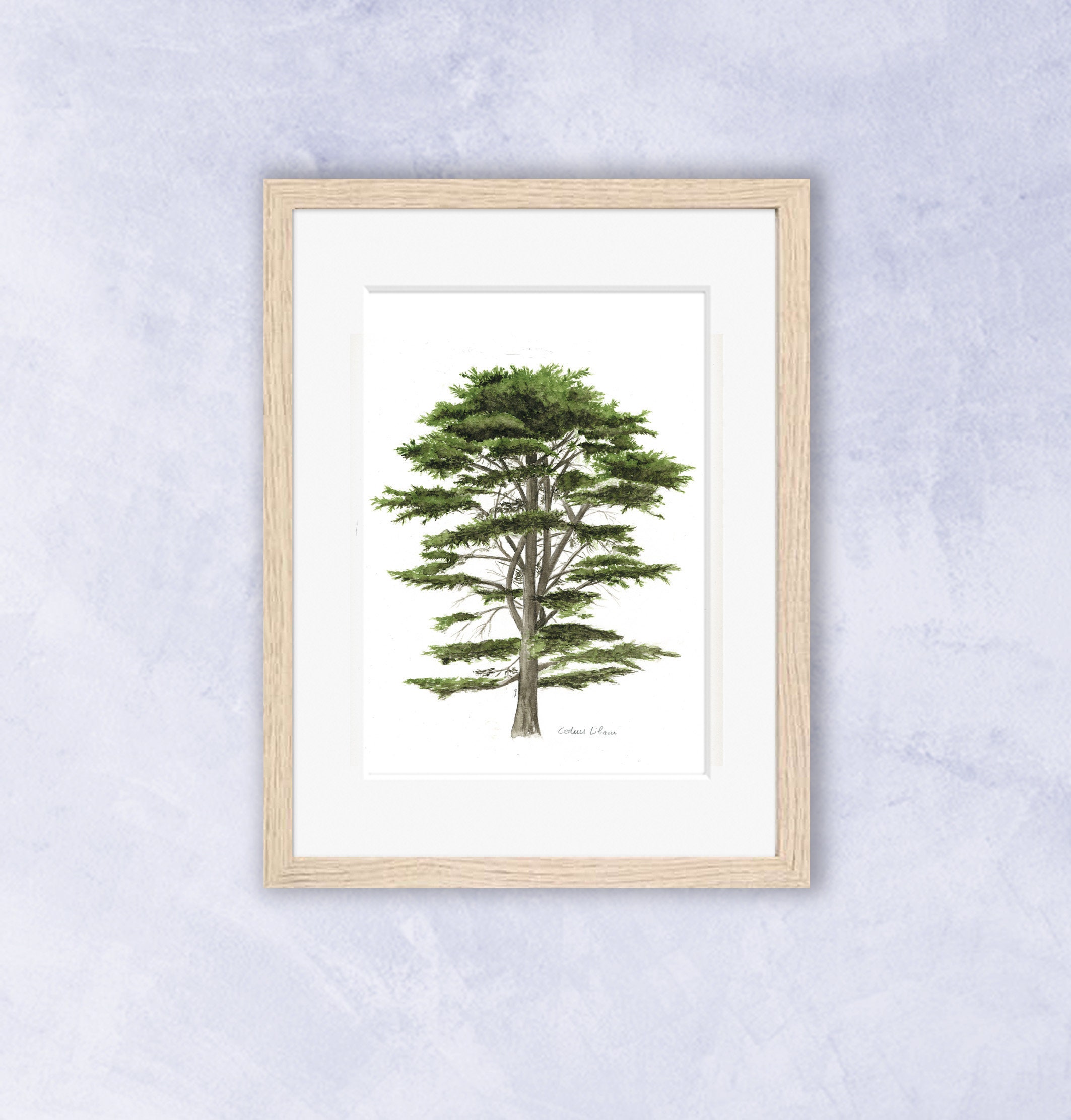 Lebanese Cedar Art