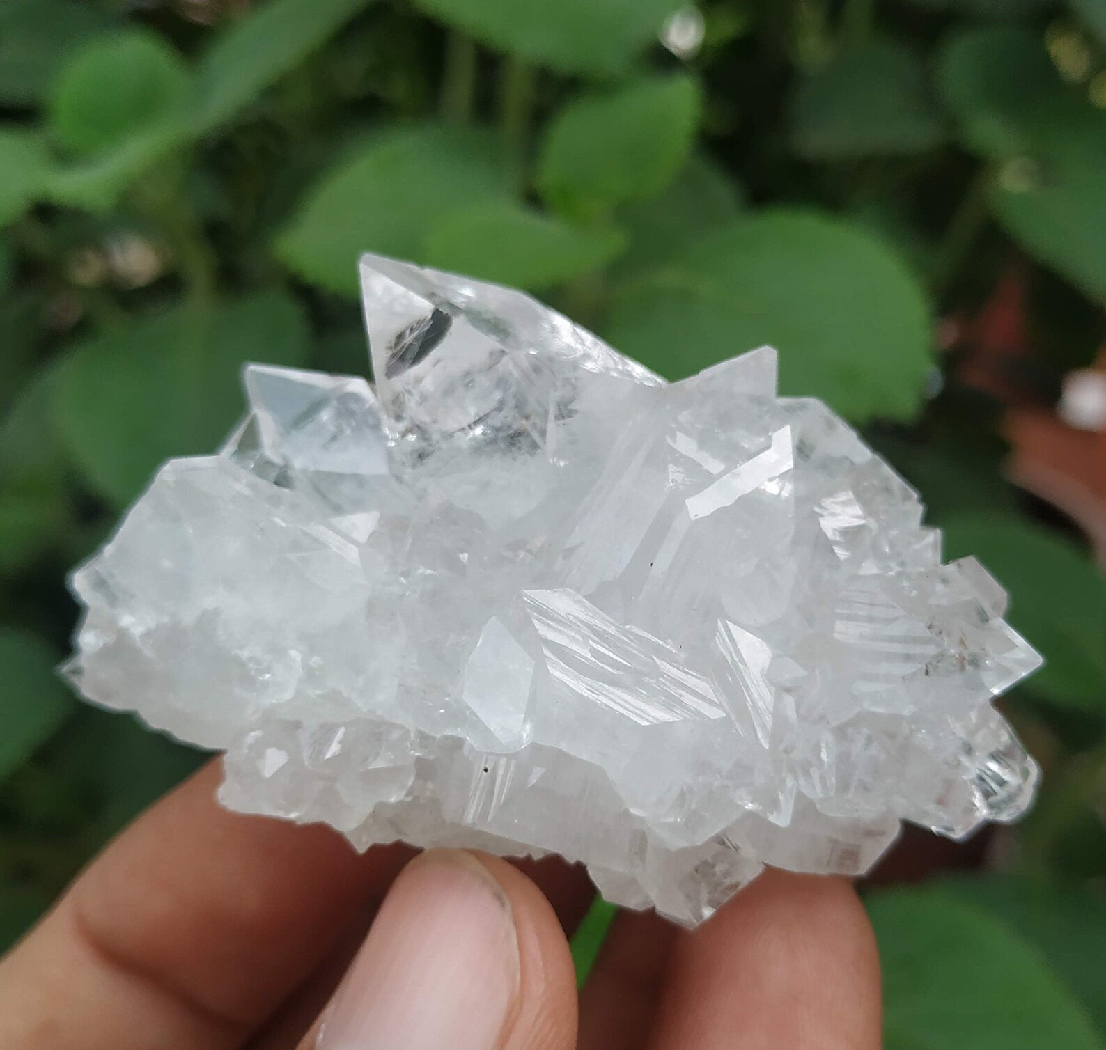 Sharp Multi Pointed Clear Best Quality Very Beautiful White - Etsy