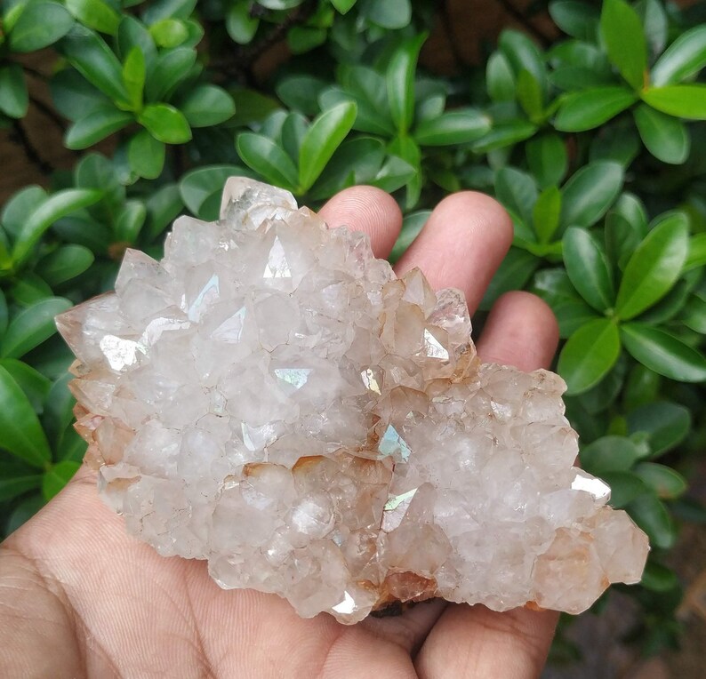 Beautiful Multi Colour Flashing Cactus Quartz Crystal / Very - Etsy