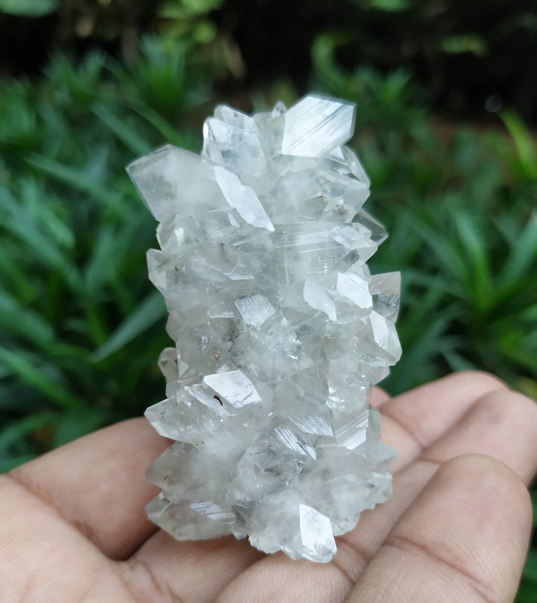 A+ Top Qualilty Very Beautiful Natural Super Shiny Shap Multi Pointed ...