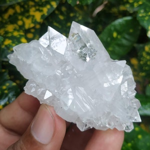 Sharp Multi Pointed Clear Best Quality Very Beautifulapophyllite ...