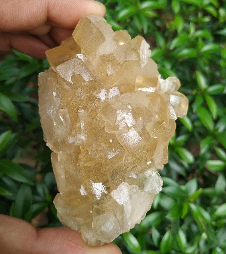 Rare Natural Indian Mineral Calcite Super Honey Calcite Growing on ...