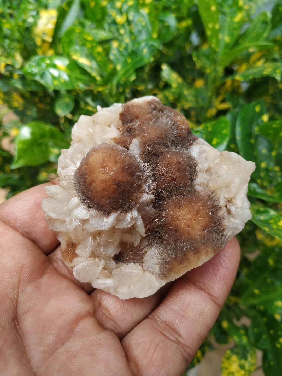 Thomsonite Crystal - Etsy