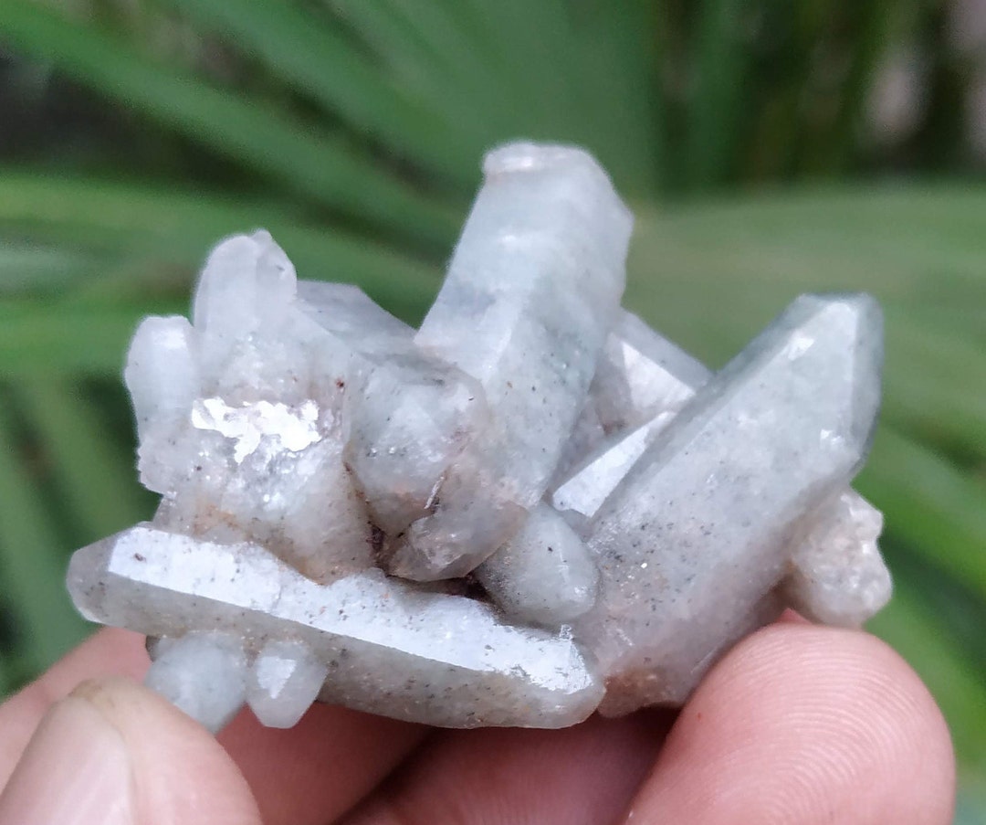 Little Charming Truly Amazing Spiritual Phantom Quarts / Quartz ...