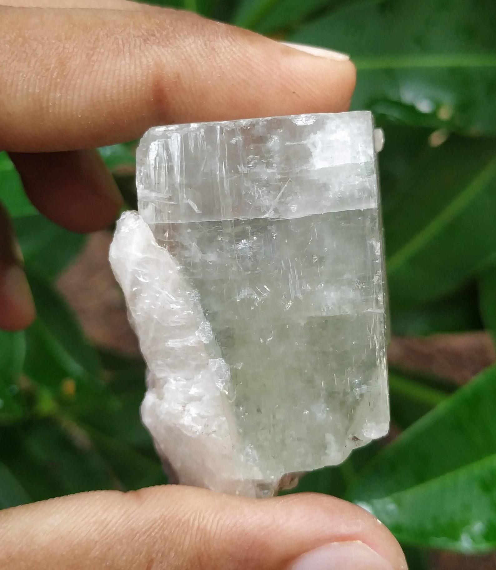 Light Pale Green Apophyllite Crystal Big Cubical Crystal - Etsy