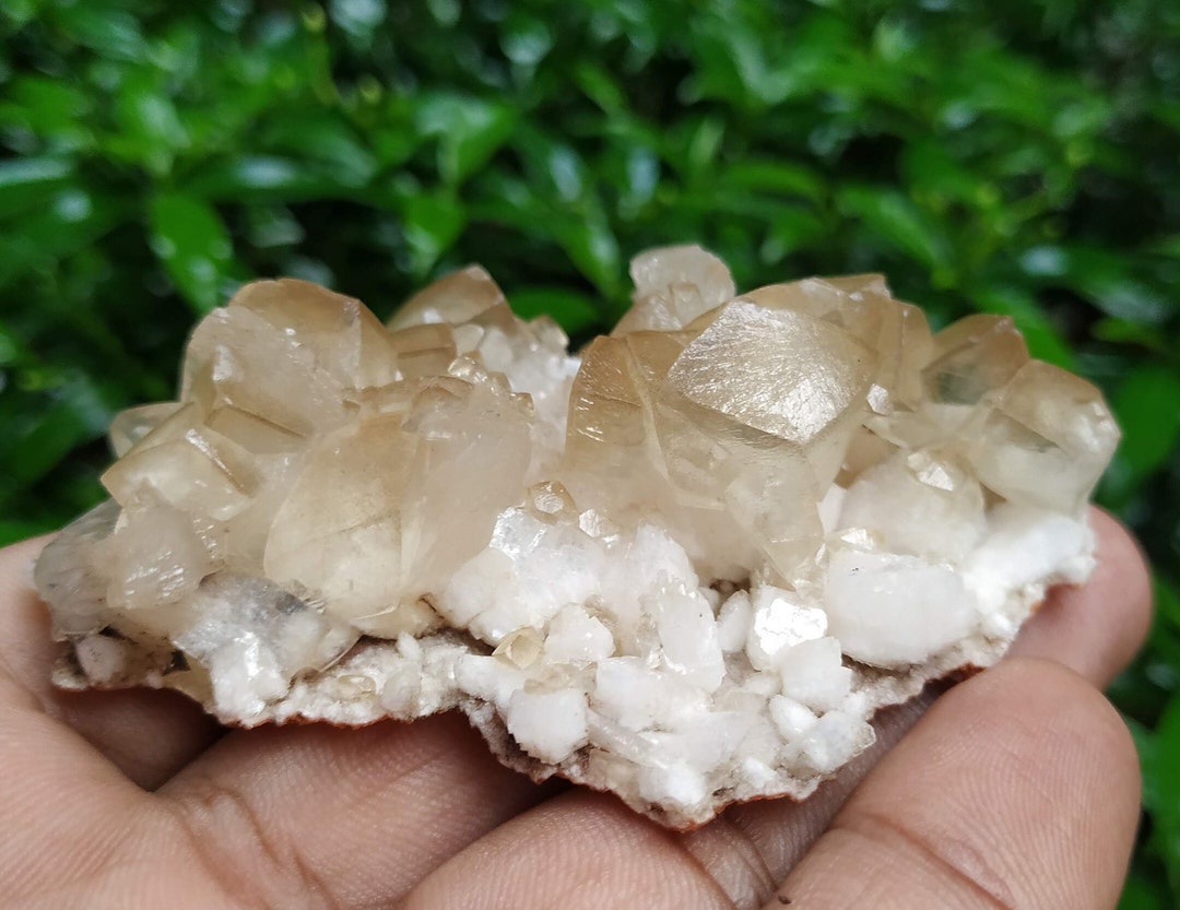 Super Tiny Cubical Cluster Attached Growing on White Stillbite Crystal ...