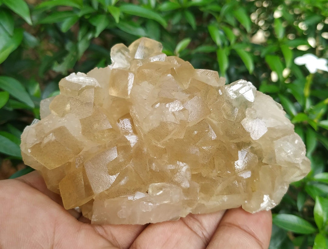 Rare Natural Indian Mineral Calcite Super Honey Calcite Growing on ...