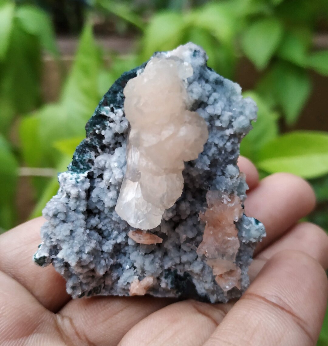 Stillbite Amazing Natural Dual Color Super Enchanting Perfect Standing ...