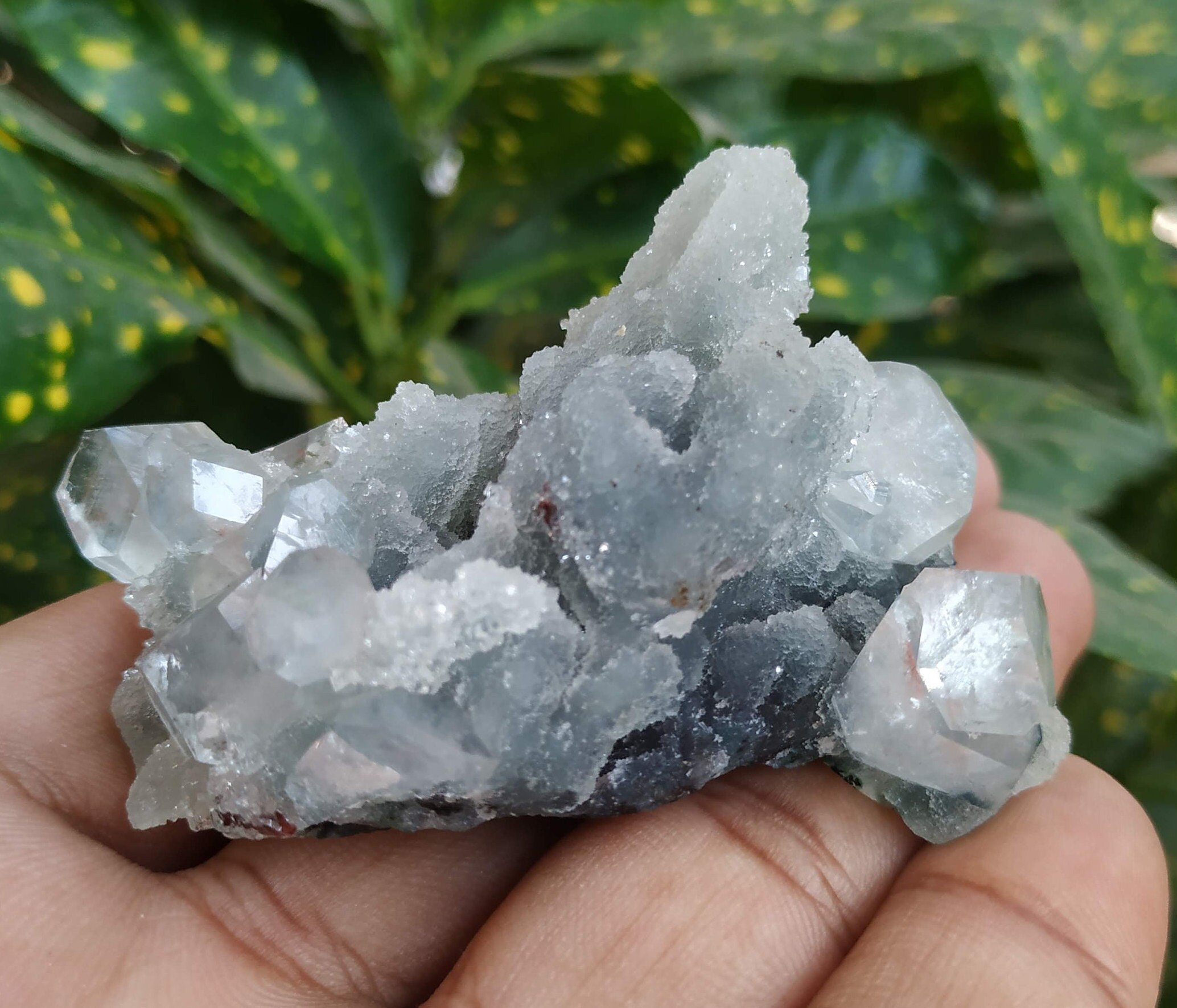 Home & Living Apophyllite cluster on blue chalcedony Home Décor Rocks ...