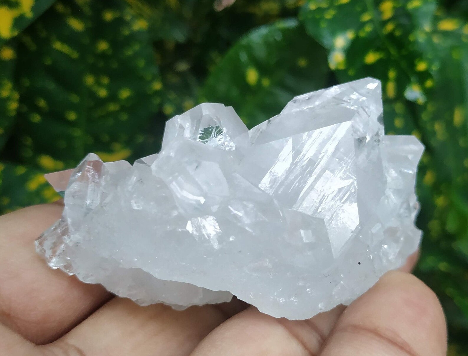 Sharp Multi Pointed Clear Best Quality Very Beautiful White - Etsy