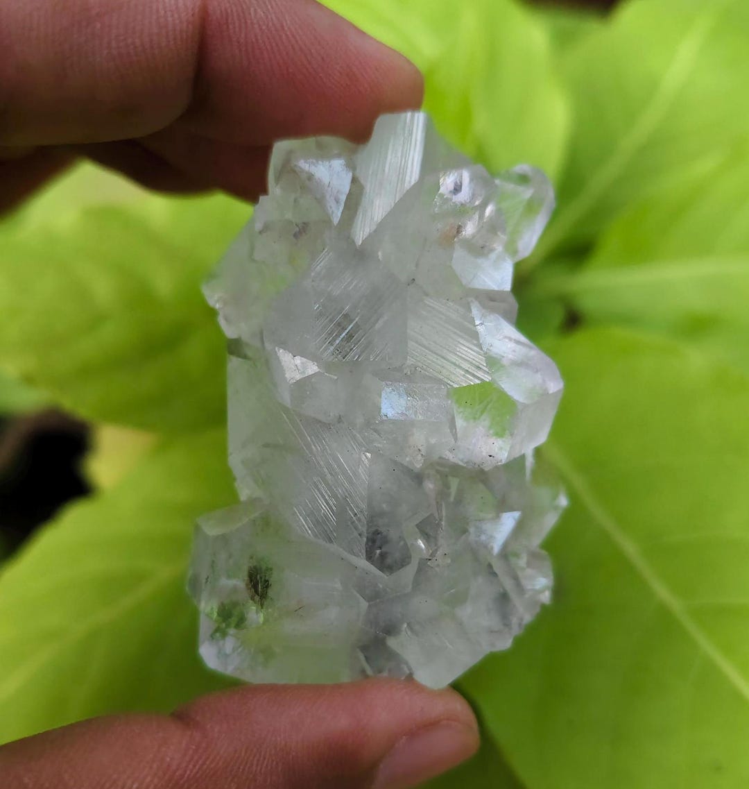 Two Way Stand White Apophyllite Stalactite Crystal Quality Very ...