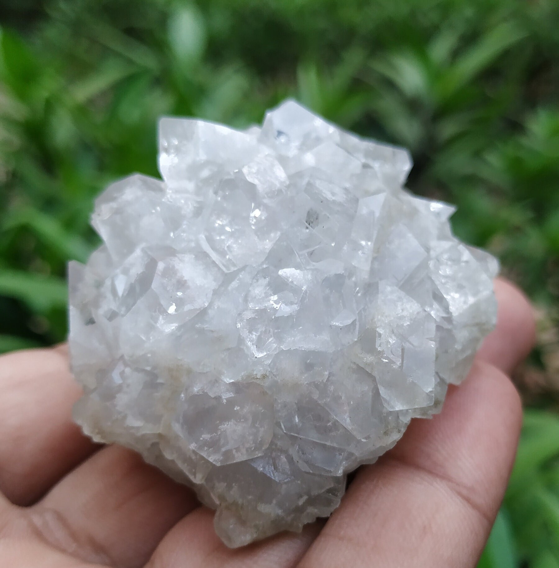 Floret Super Natural Milky White Apophyllite Super Mountain Shaped ...