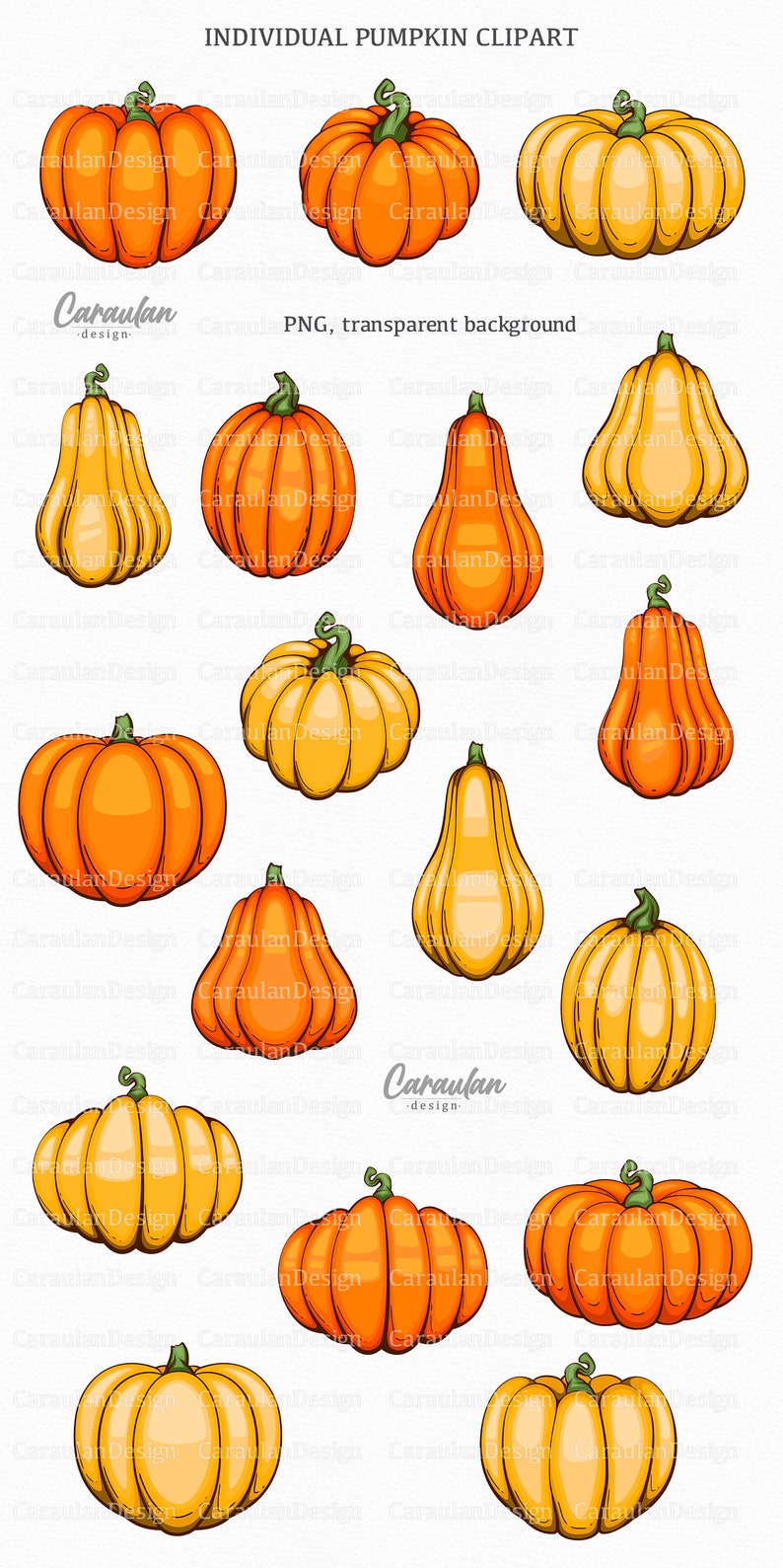 Fall Pumpkin Clipart, Pumpkin Illustrations, Thanksgiving Pumpkin PNG ...