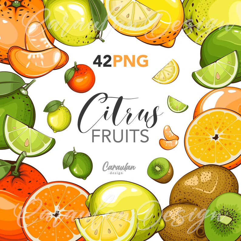 Fruits Clipart, Citrus Fruit Clipart, Lemons PNG, Fruits Illustration ...