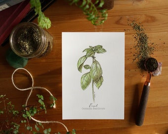 Basil Print - Etsy