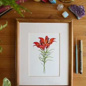 Prairie Lily // 5x7, 8x10, Flower Painting, Wall Decor, Nature Art ...