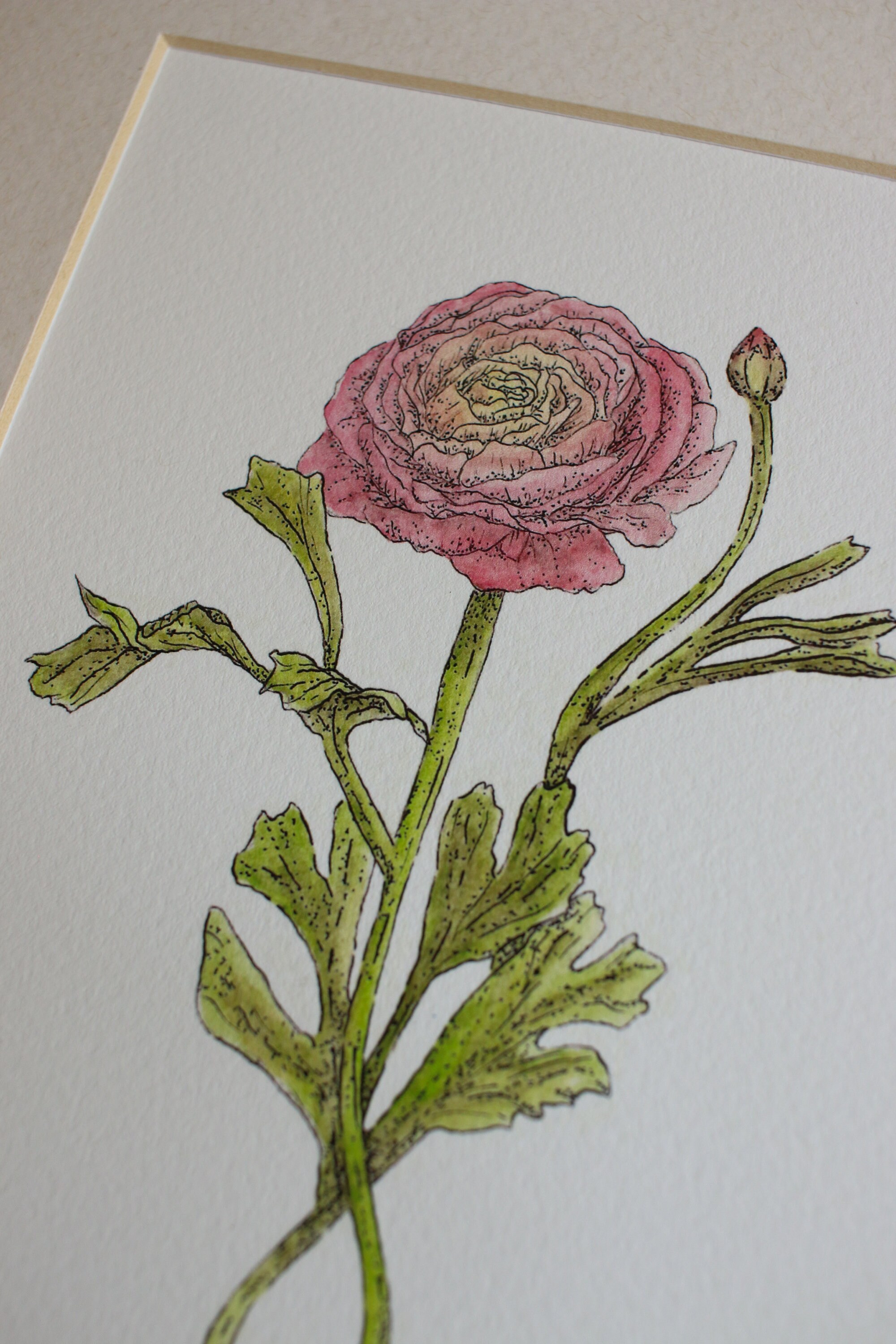 Ranunculus // 5x7 / 8x10 Art Print // Floral Art // - Etsy