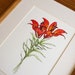 Prairie Lily // 5x7, 8x10, Flower Painting, Wall Decor, Nature Art ...