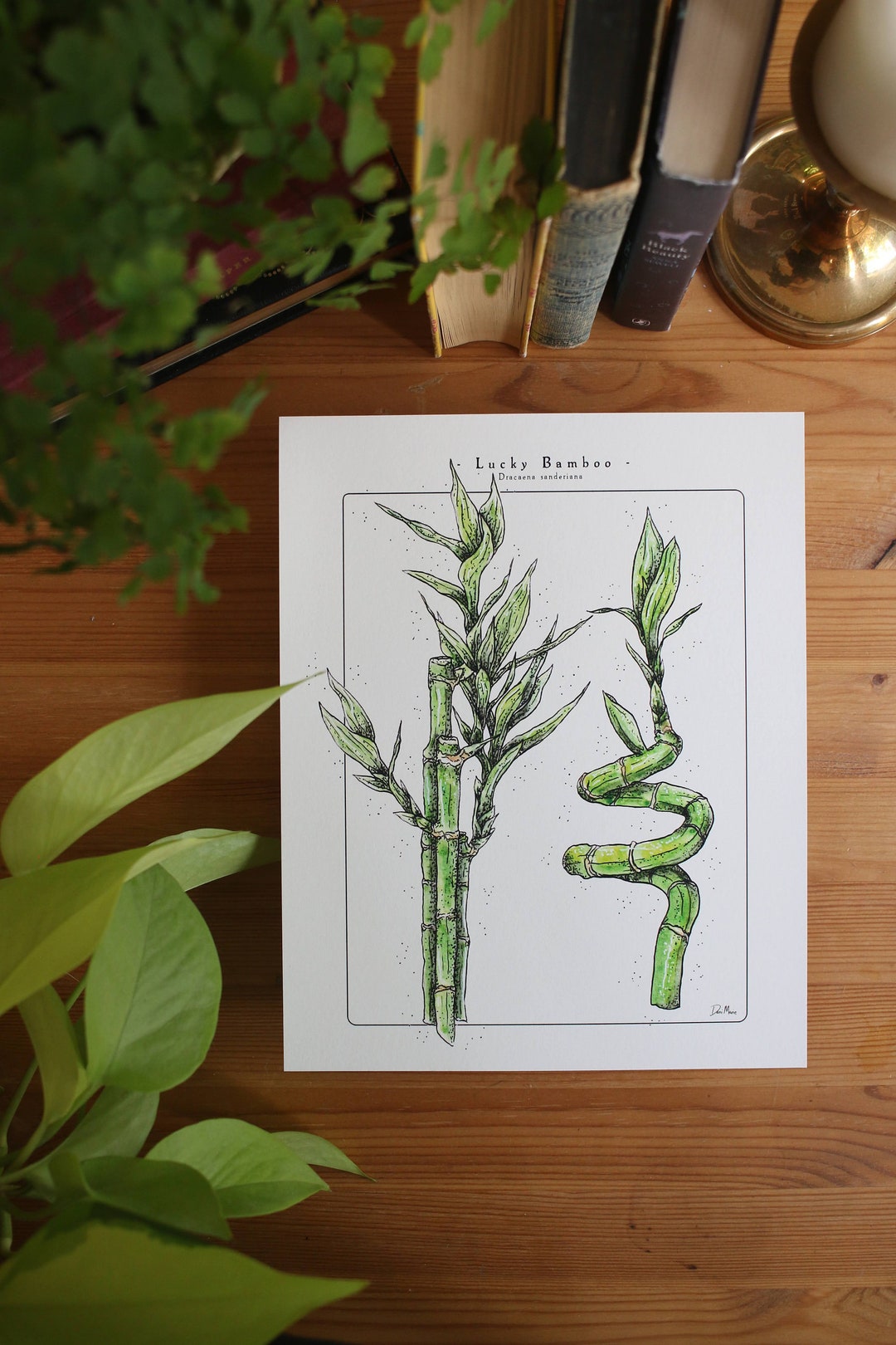 Lámina de bambú de la suerte: arte de plantas de interior, regalo para ...
