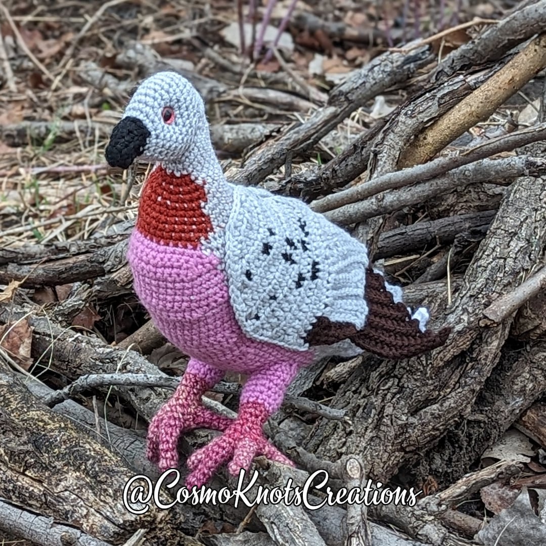 Crochet Passenger Pigeon and Fruit Dove Soft Sculptures - Etsy