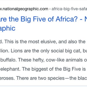 Vintage - 1999 - Framed GTE Big Five Safari Animals Matted Under Glass ...