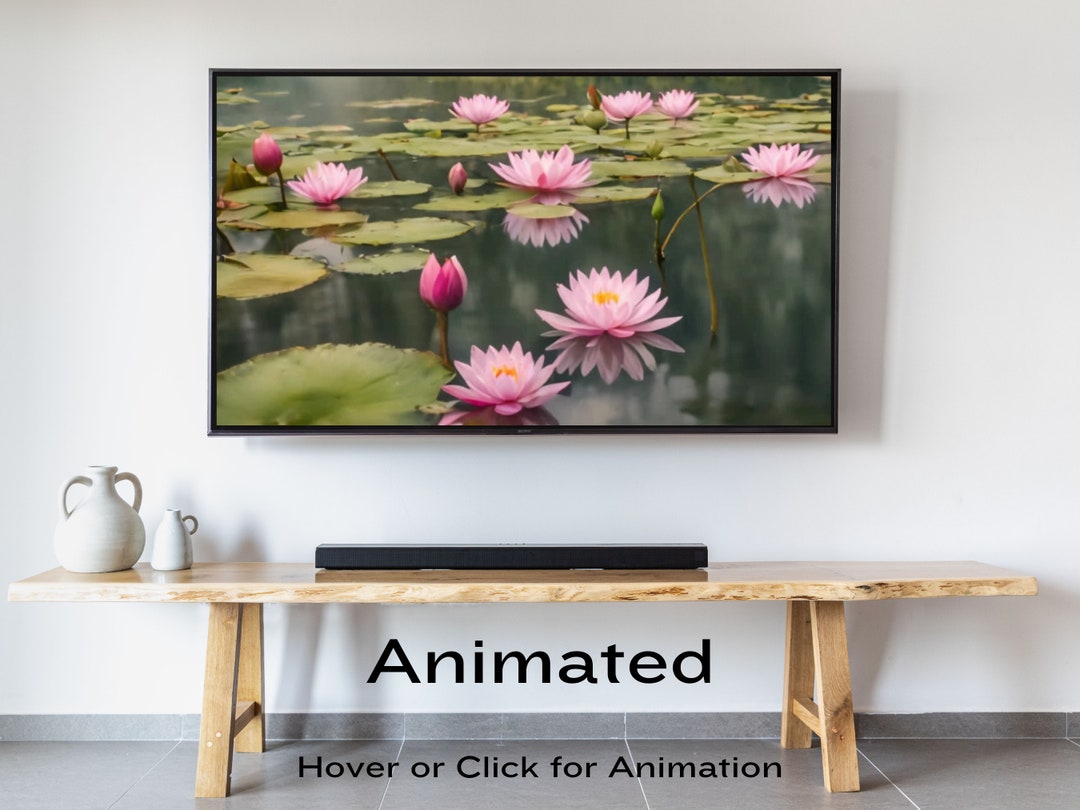 Pink Water Lilies Floating in Pond Moving Computer Screensaver Spring ...