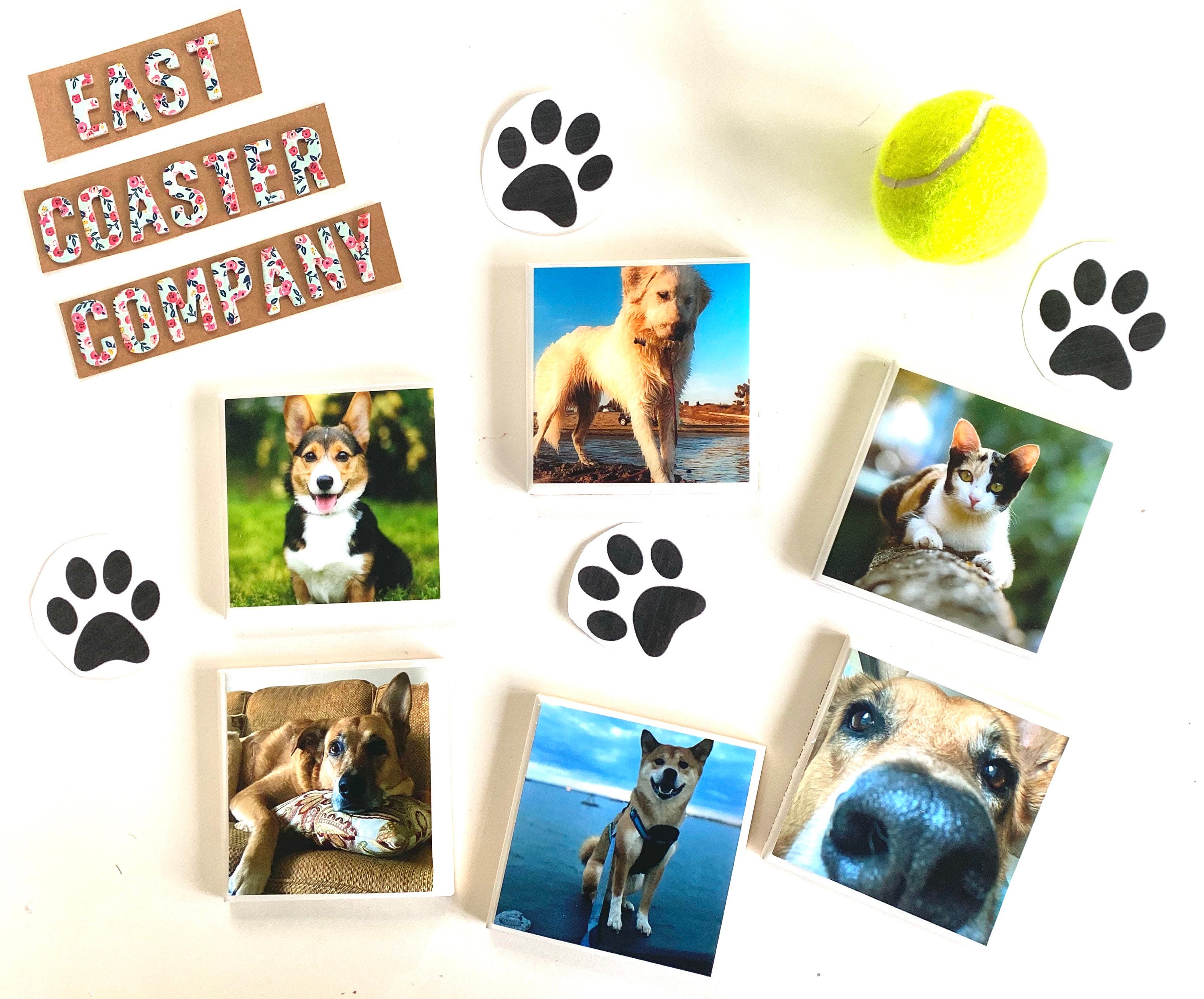 Customized Pet Photo Coasters - Etsy