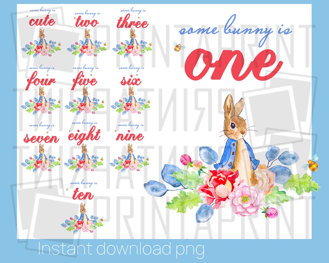 Birthday Some Bunny is One Png Files for Use in Sublimation or Your ...