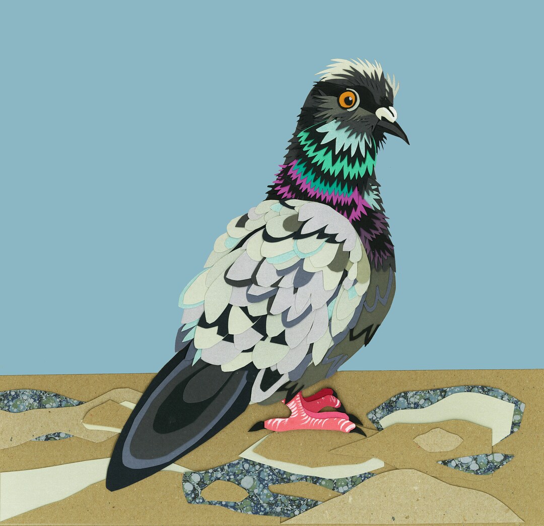 Pigeon Print - Etsy