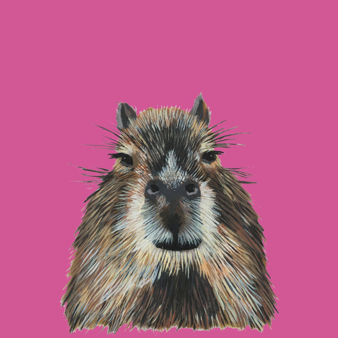 Capybara Print - Etsy