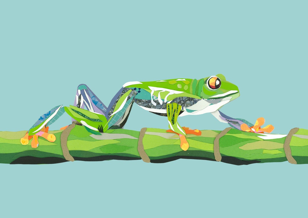 Tree Frog Print With Mount - Etsy