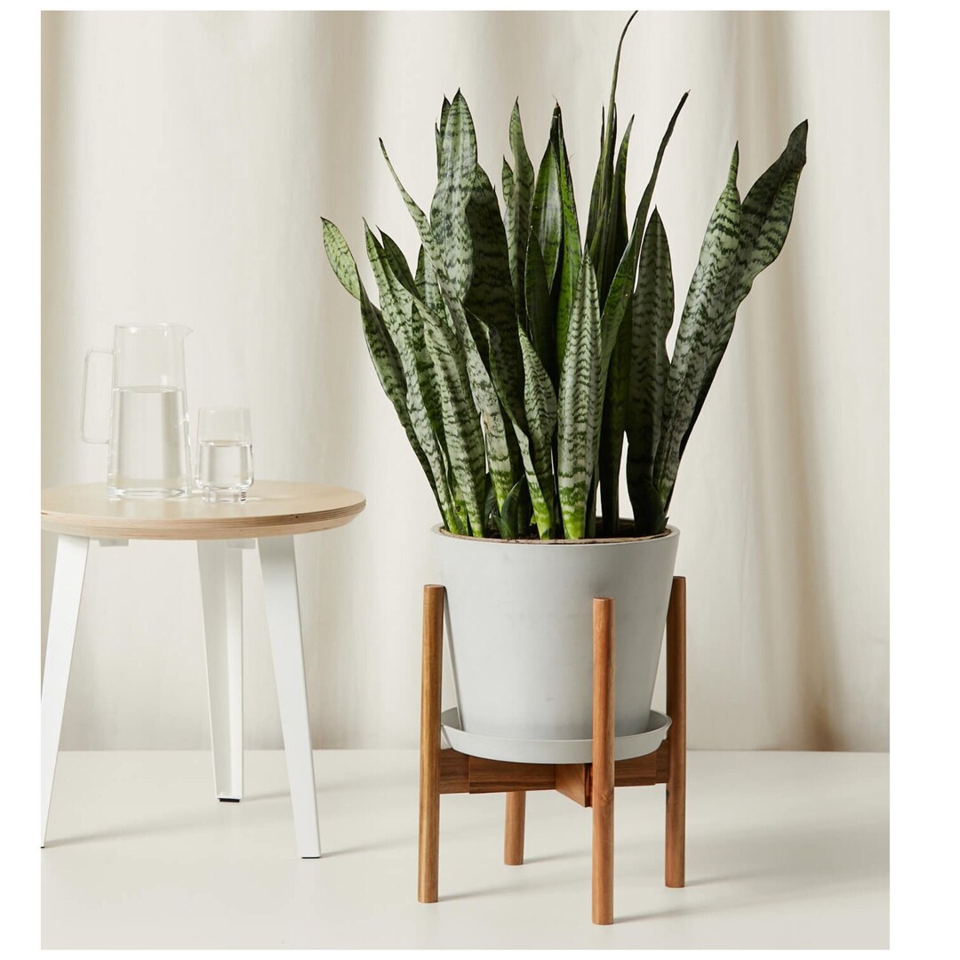 Mid-century Adjustable Plant Stand With Woven Cotton Rope Basket ...