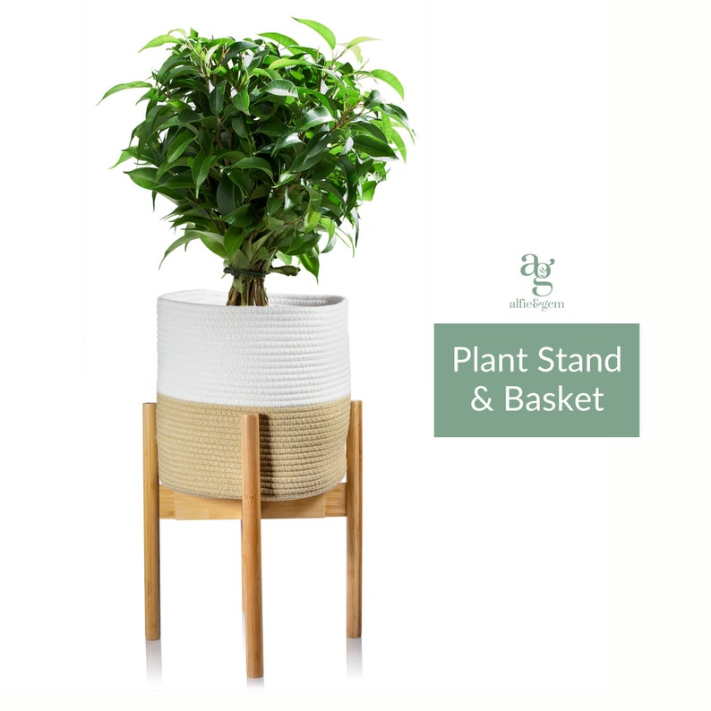 Plant Stand & Plant Pot Basket Flower Pot Stand and Basket | Etsy