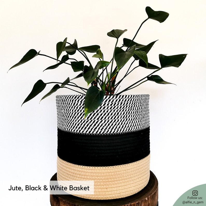 Plant Pot for Indoor Plants 3 Variations Pair with our Plant | Etsy