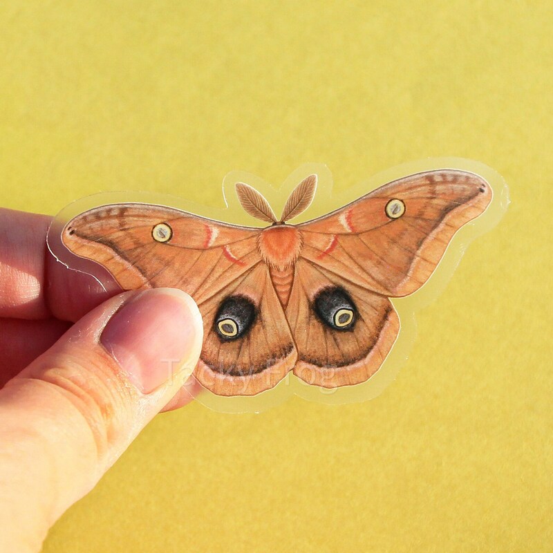 Moth Laptop Sticker - Etsy