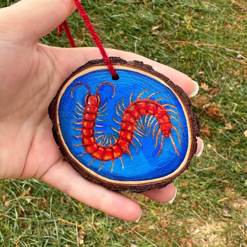 Bug Ornament - Etsy