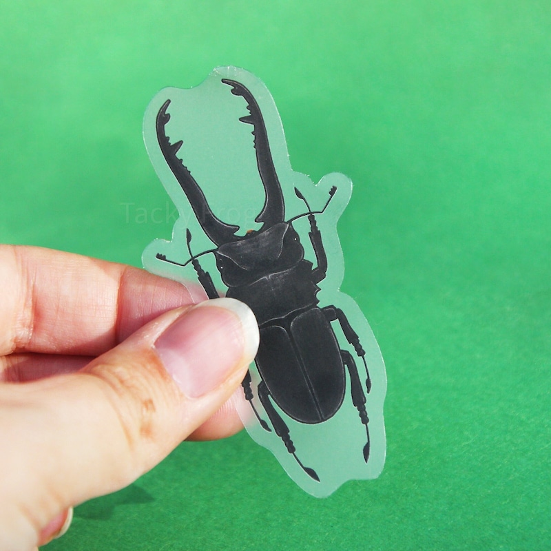 Insect Decals - Etsy