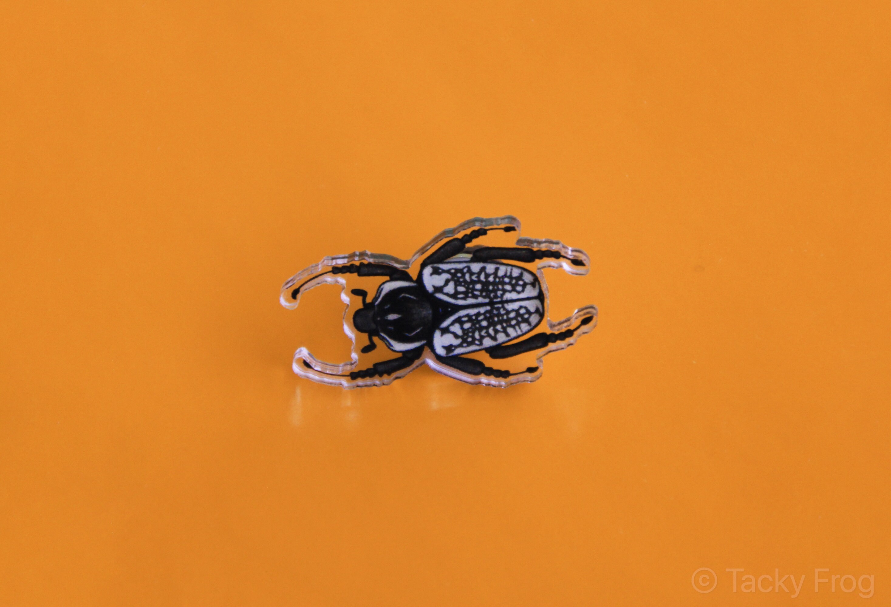 Acrylic Pin of Goliath Beetle W/ Rubber Clutch | Cute, Tiny 0.75" X 1. ...