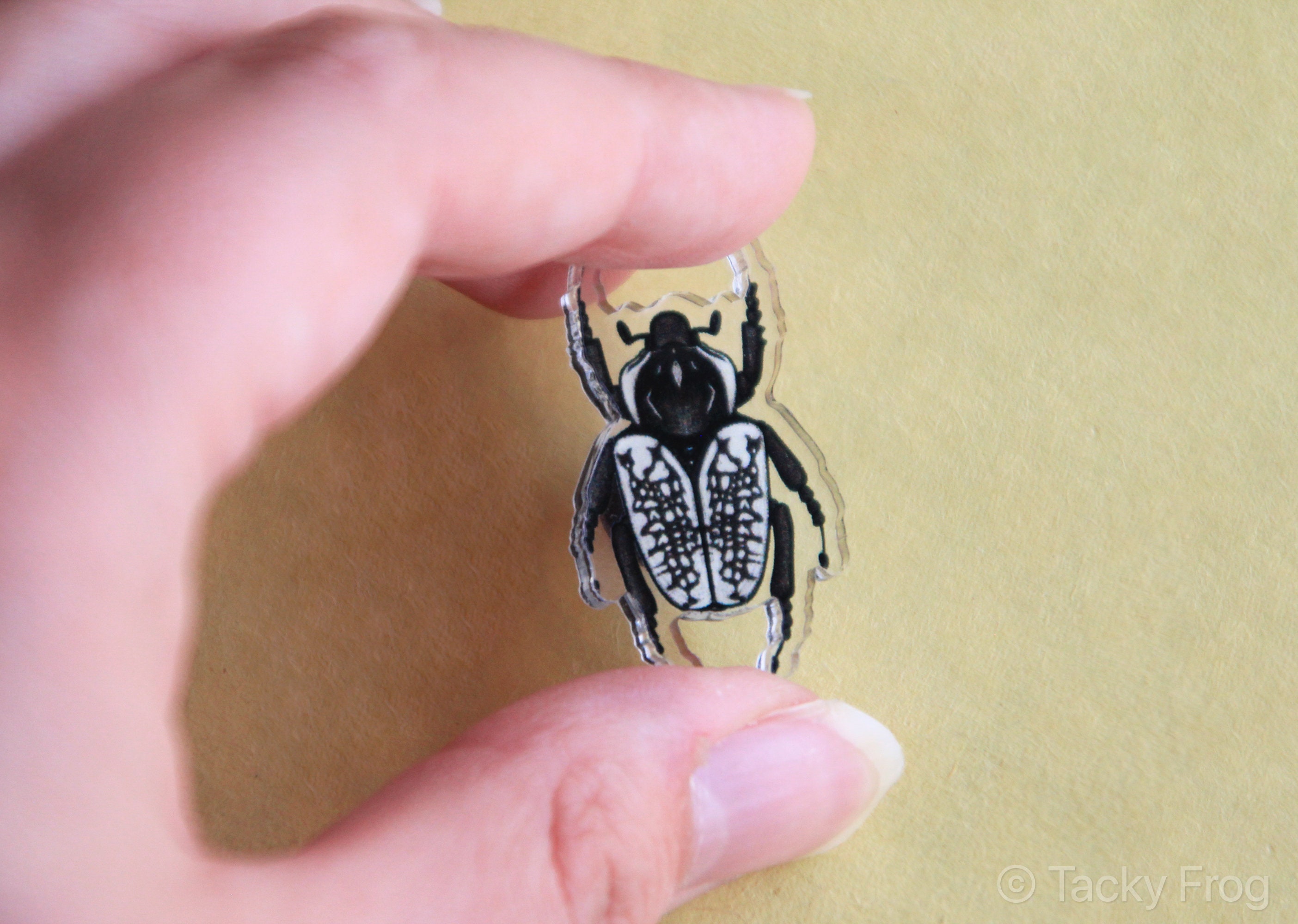 Acrylic Pin of Goliath Beetle W/ Rubber Clutch Cute Tiny | Etsy